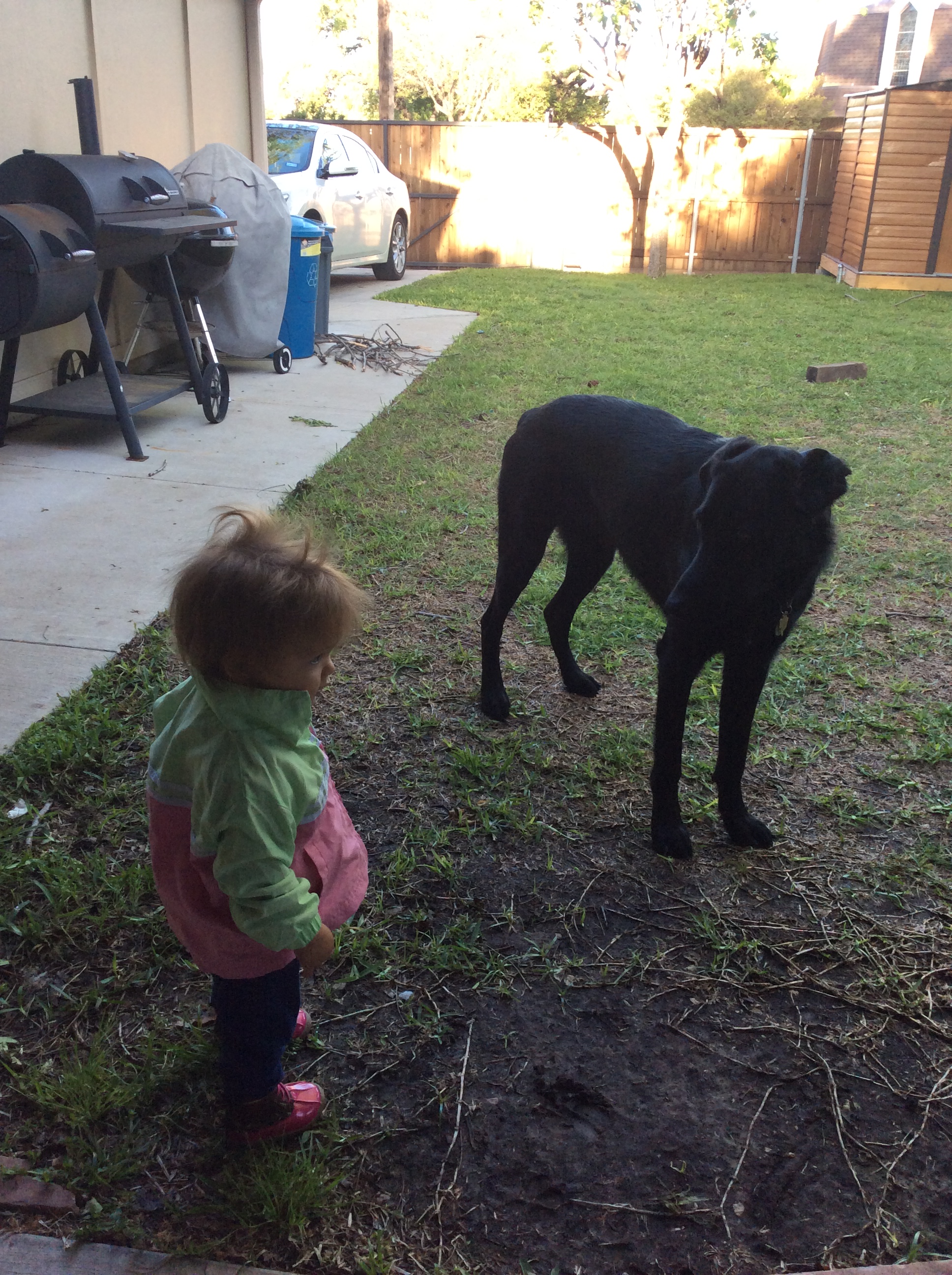 End of a Long Week – Inspected By Pat